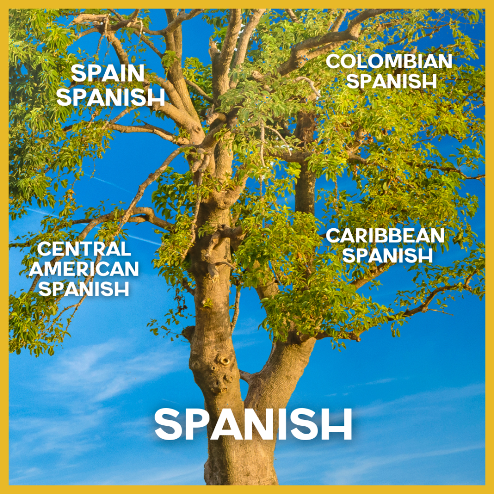 Teacher Problems: Choosing “Which Spanish” to Teach - Kosmik Teaching
